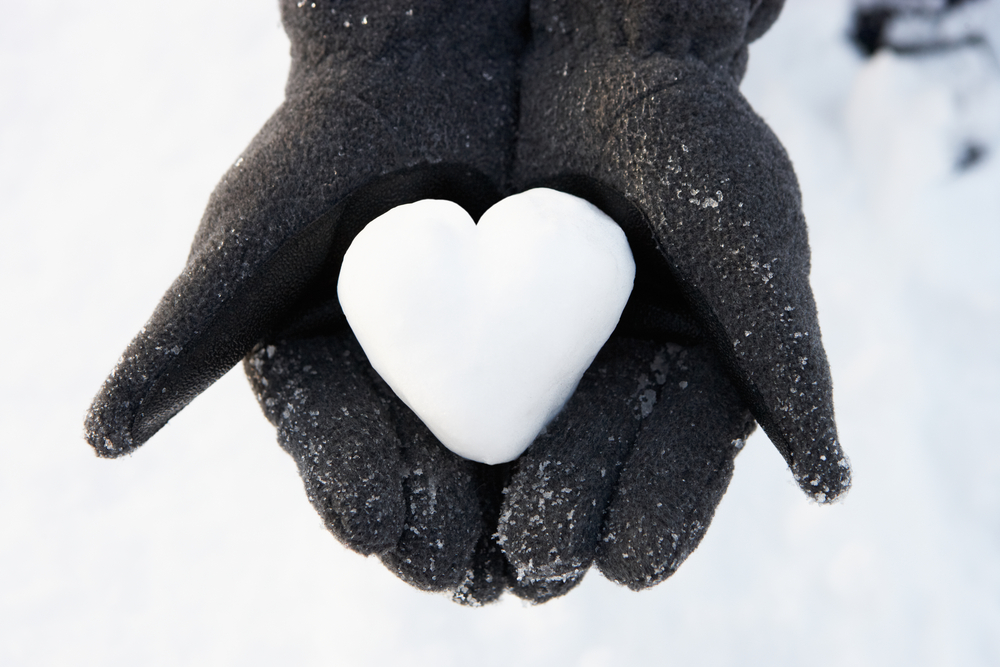 YA Friday: Cold Weather, Warm Hearts | San Jose Public Library