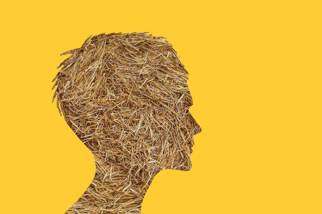 Maling Impormasyon at Disinformation, isang News Literacy Project ...