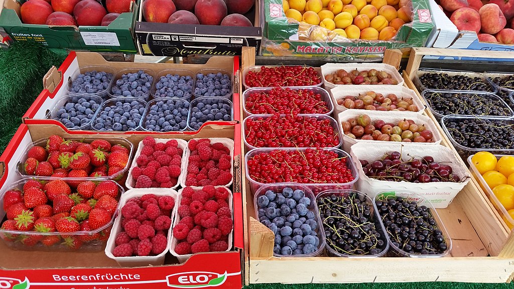 Berry Picking and Pies and Preserves, Oh My! | San Jose Public Library